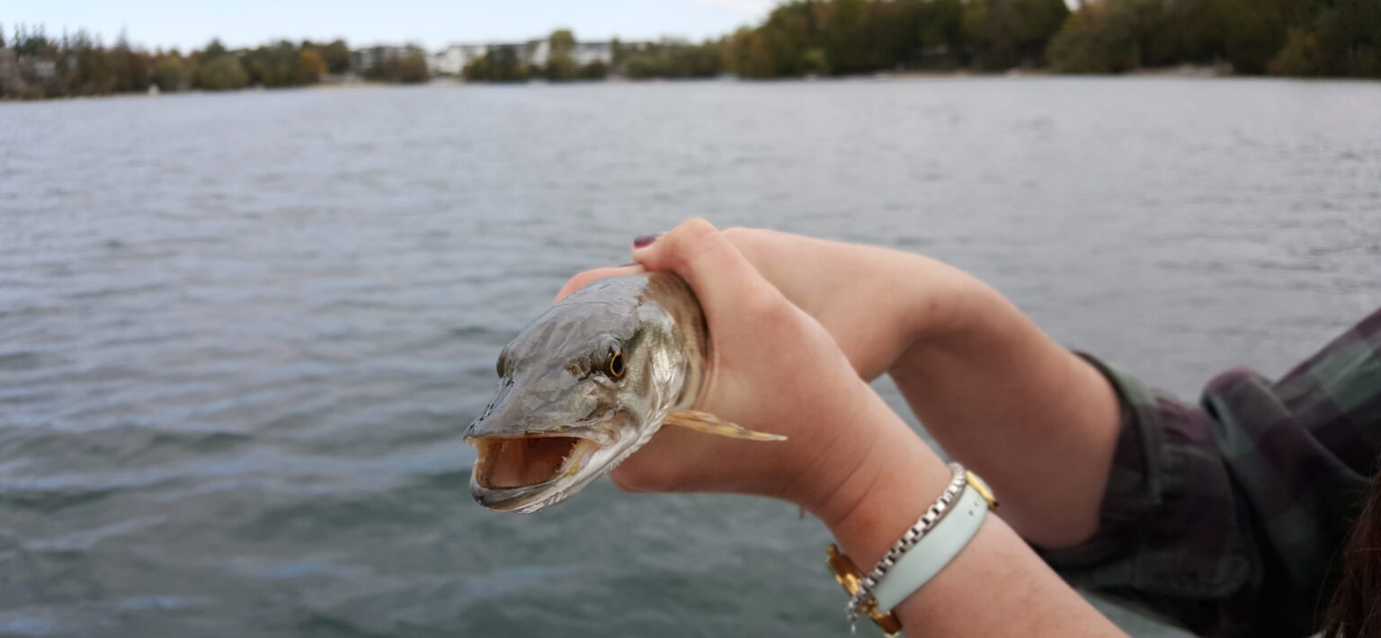 Fireman's Park and Beach - Elkhart Lake, WI